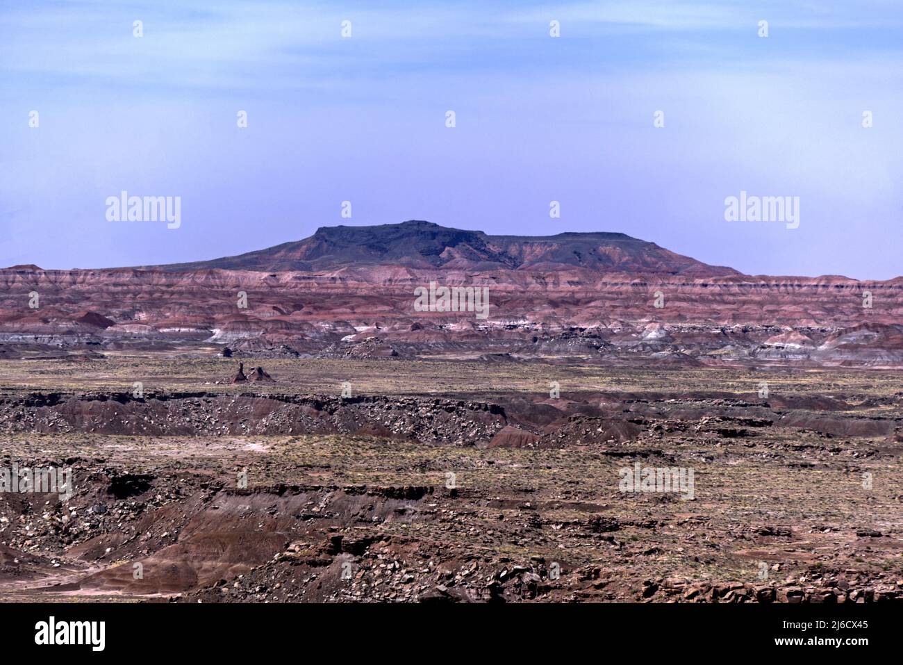 Lacey forest hi-res stock photography and images - Alamy