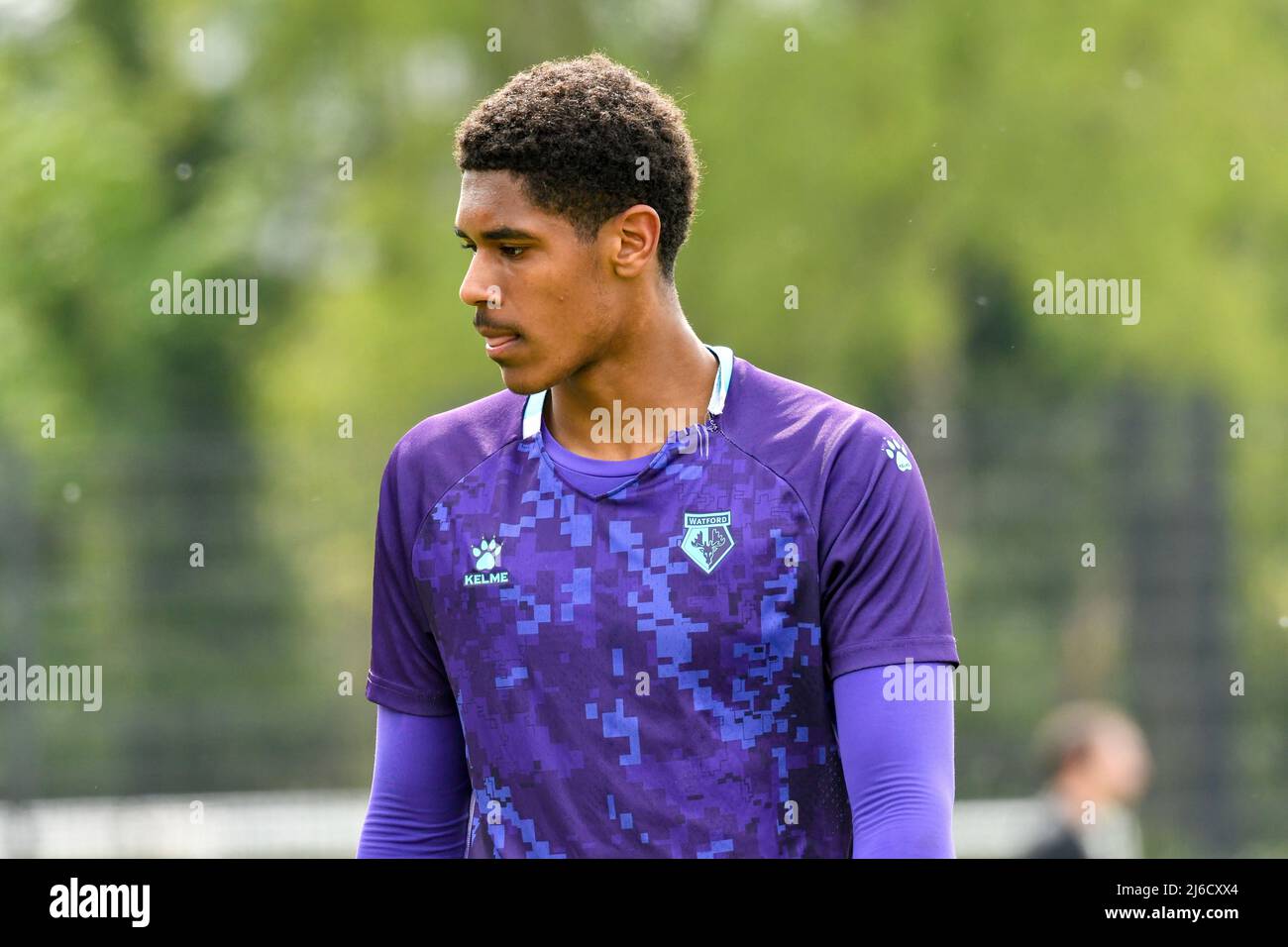 Watford fc 2022 hi-res stock photography and images - Alamy