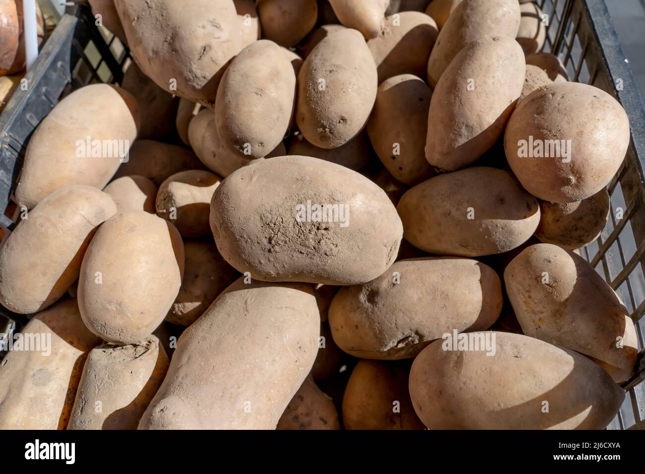 Unwashed potatoes hi-res stock photography and images - Alamy