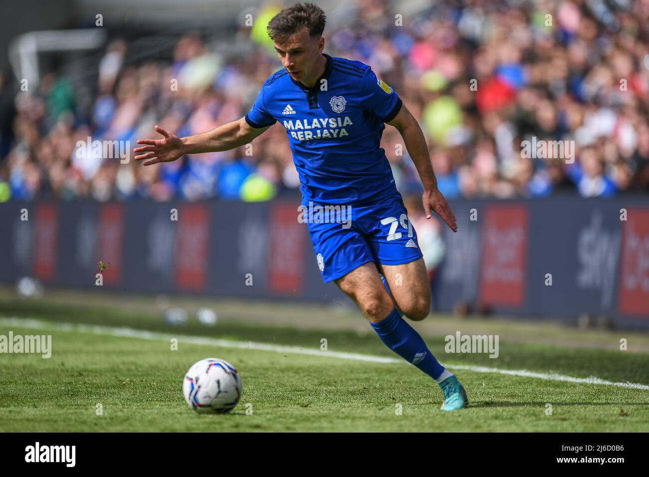 Mark harris cardiff hi-res stock photography and images - Alamy