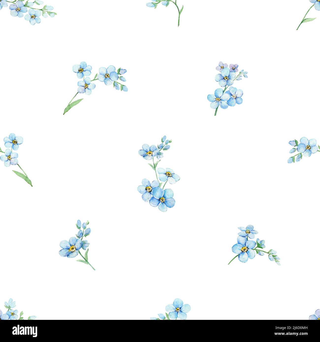 Watercolor seamless pattern of blue forget-me-nots. Hand painted ...