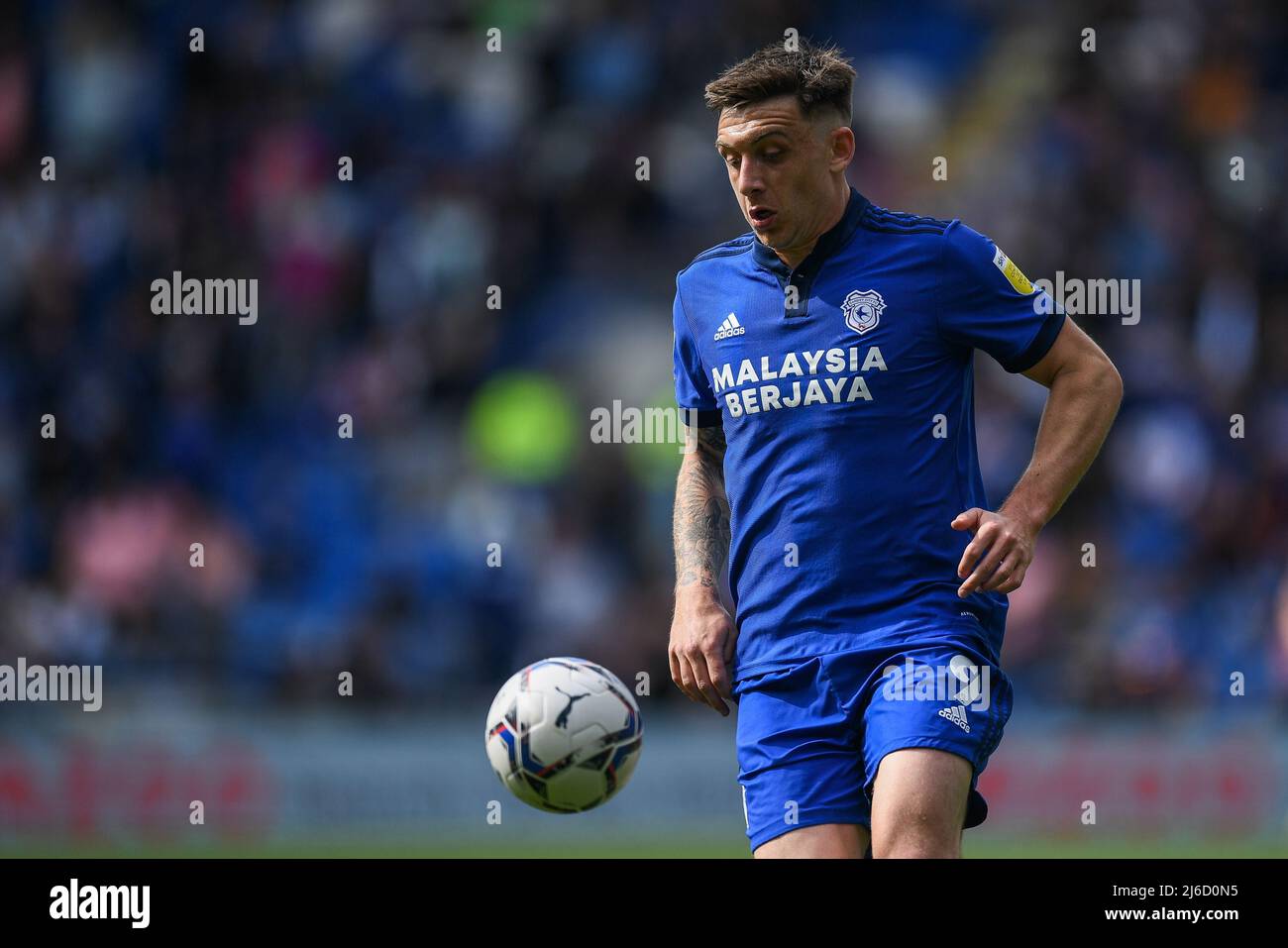 Jordan Hugill #9 of Cardiff City in action during the game Stock Photo ...