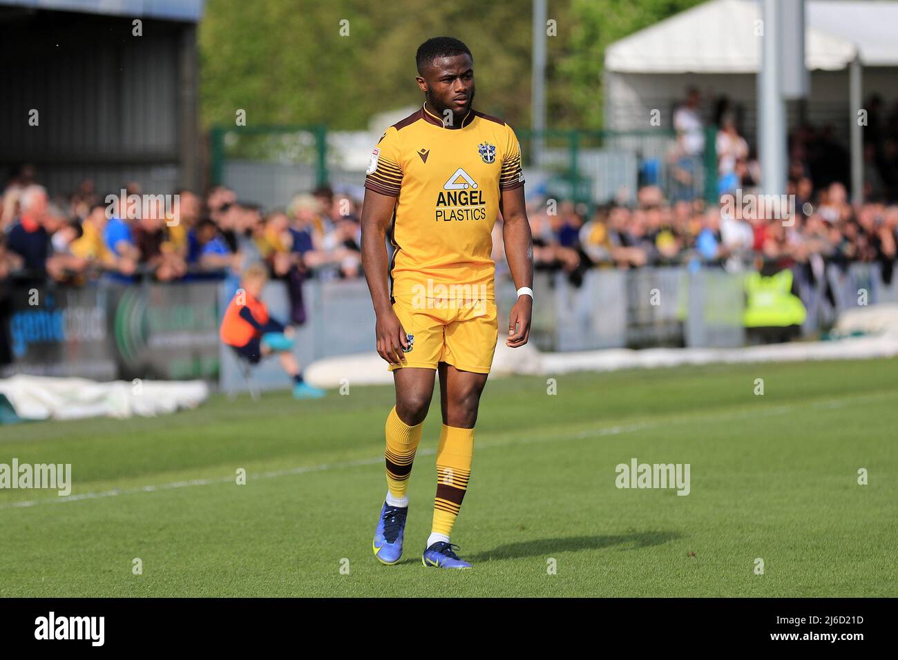 David ajiboye sutton hi-res stock photography and images - Alamy