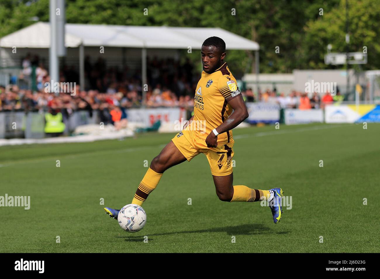 David Ajiboye #7 of Sutton United seen during the match Stock Photo - Alamy