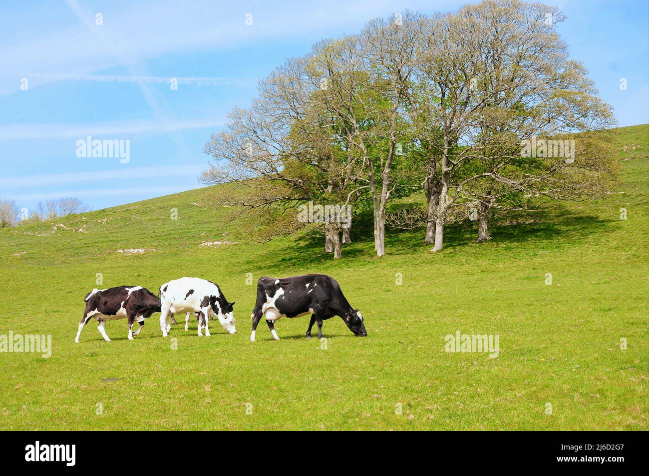 Bridehead house hi-res stock photography and images - Alamy