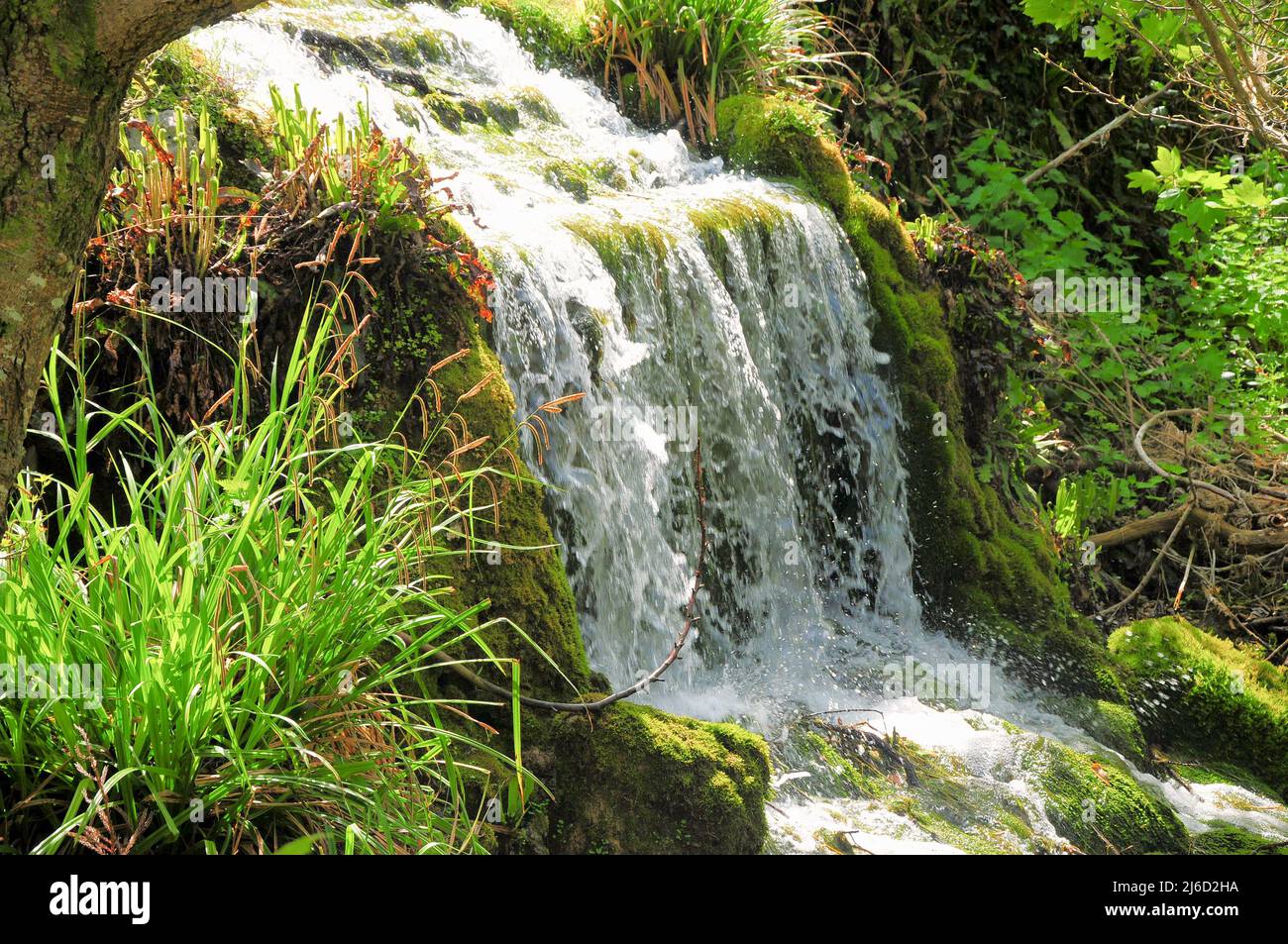 Bridehead house hi-res stock photography and images - Alamy