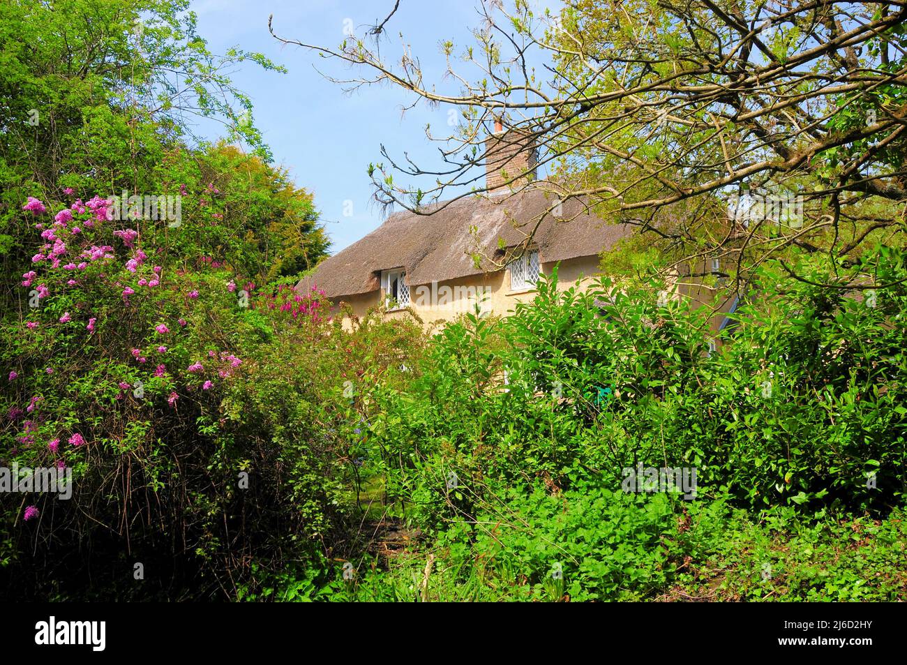 Bridehead house hi-res stock photography and images - Alamy