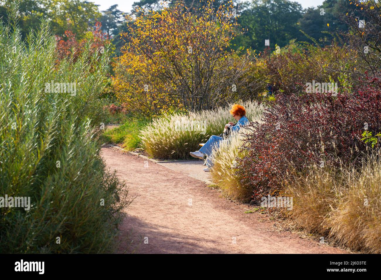 Lyon, France, October 23, 2018, Autumn colors of the Parc de la Tête d ...