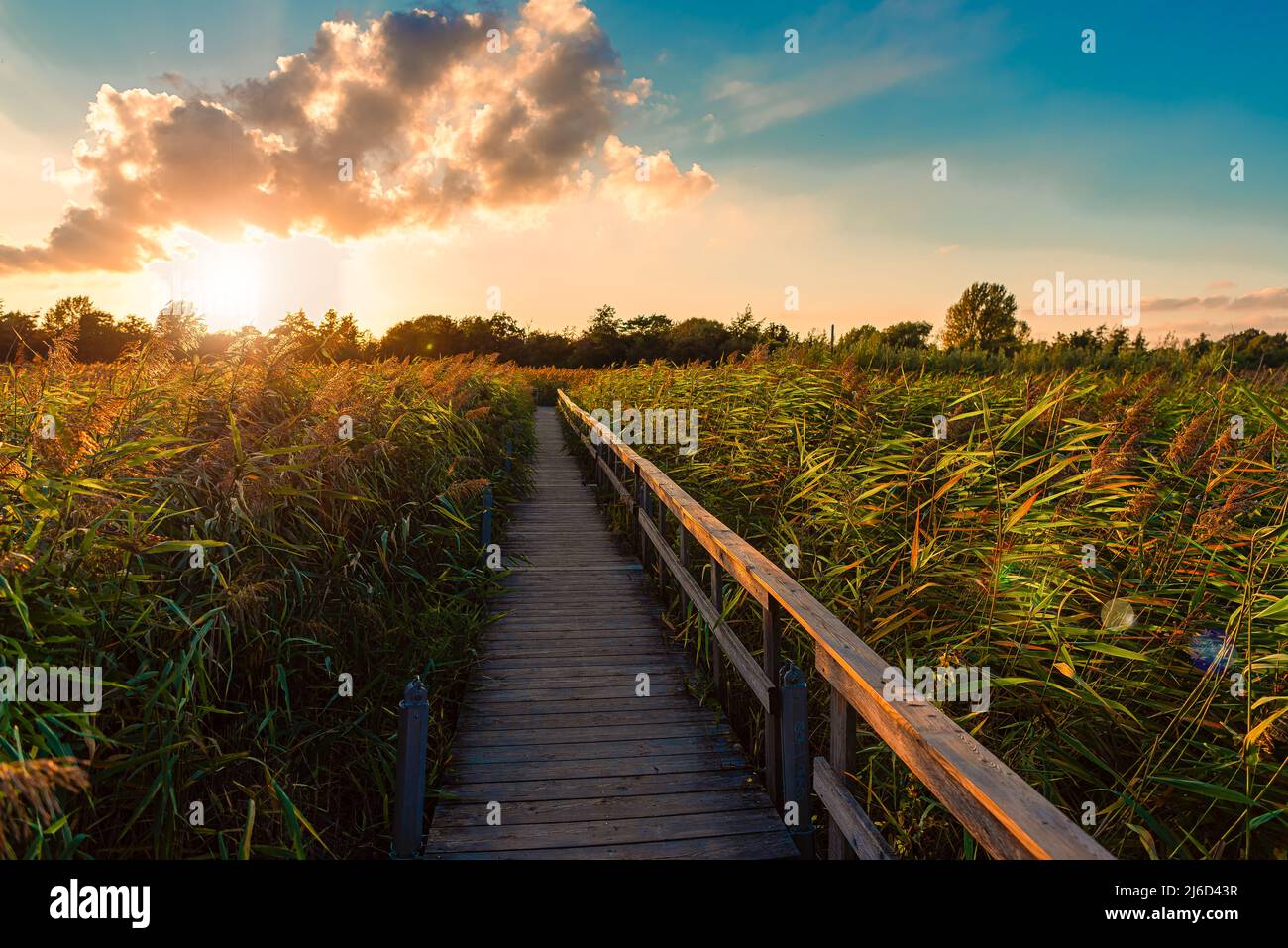 Through handrails hi-res stock photography and images - Alamy