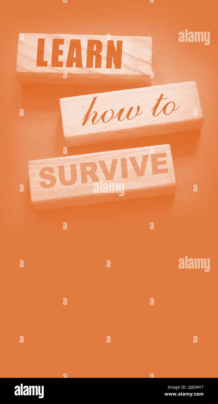 Text on wooden blocks Learn How to Survive. Surviving in crisis times ...