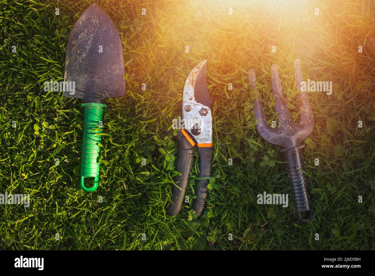 Set of gardening tools on green lawn. High quality photo Stock Photo ...