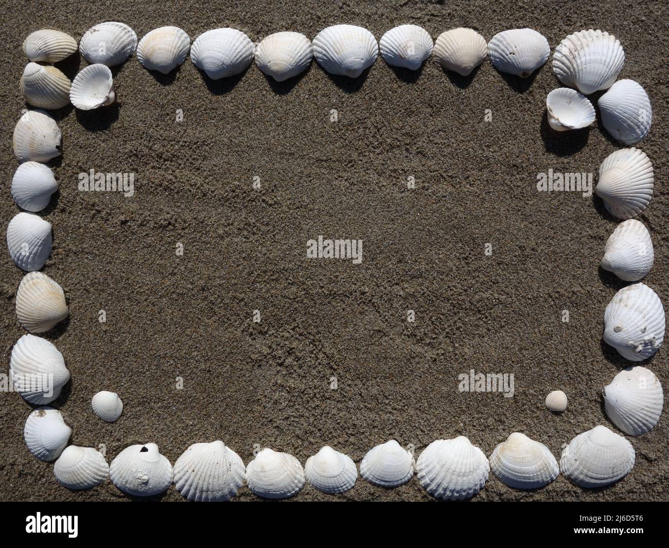 White Common heart shell formed into a frame on the sandy beach ...