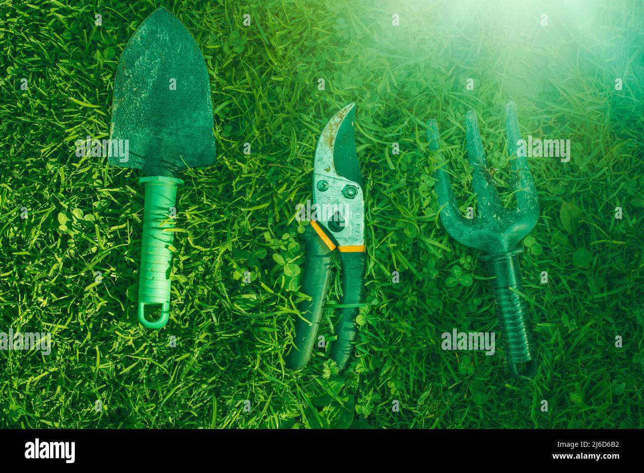 Set of gardening tools on green lawn. High quality photo Stock Photo ...