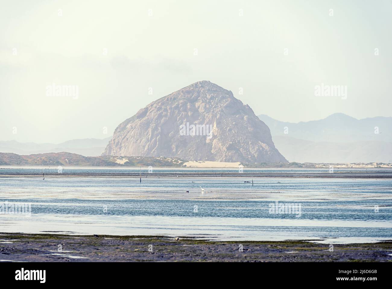 Ojos de oro hi-res stock photography and images - Alamy