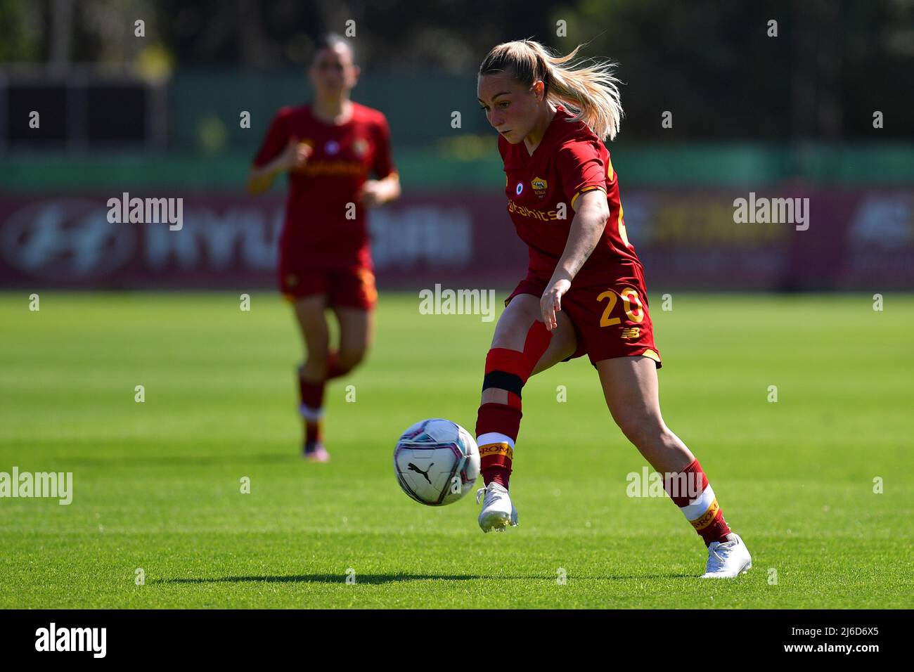 Greggi giada hi-res stock photography and images - Alamy