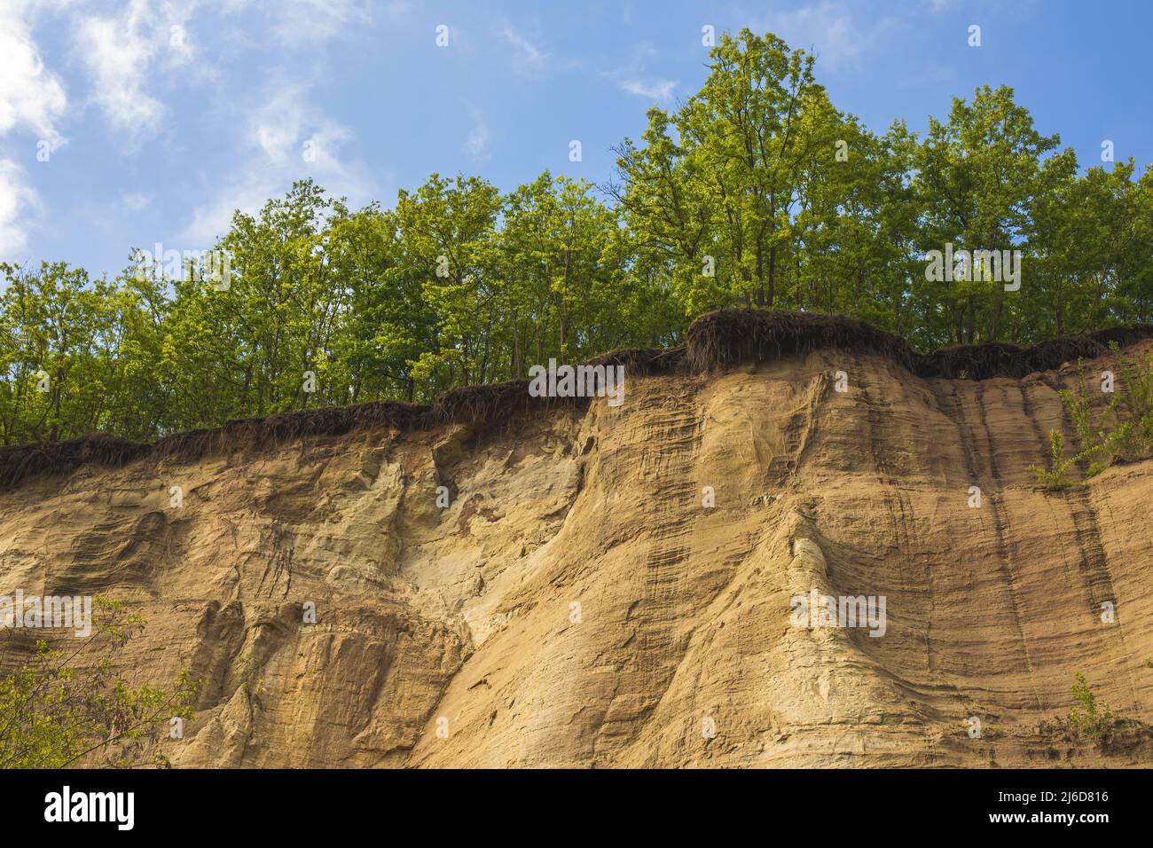 Wall made of sand, sand cliff. High quality photo Stock Photo - Alamy