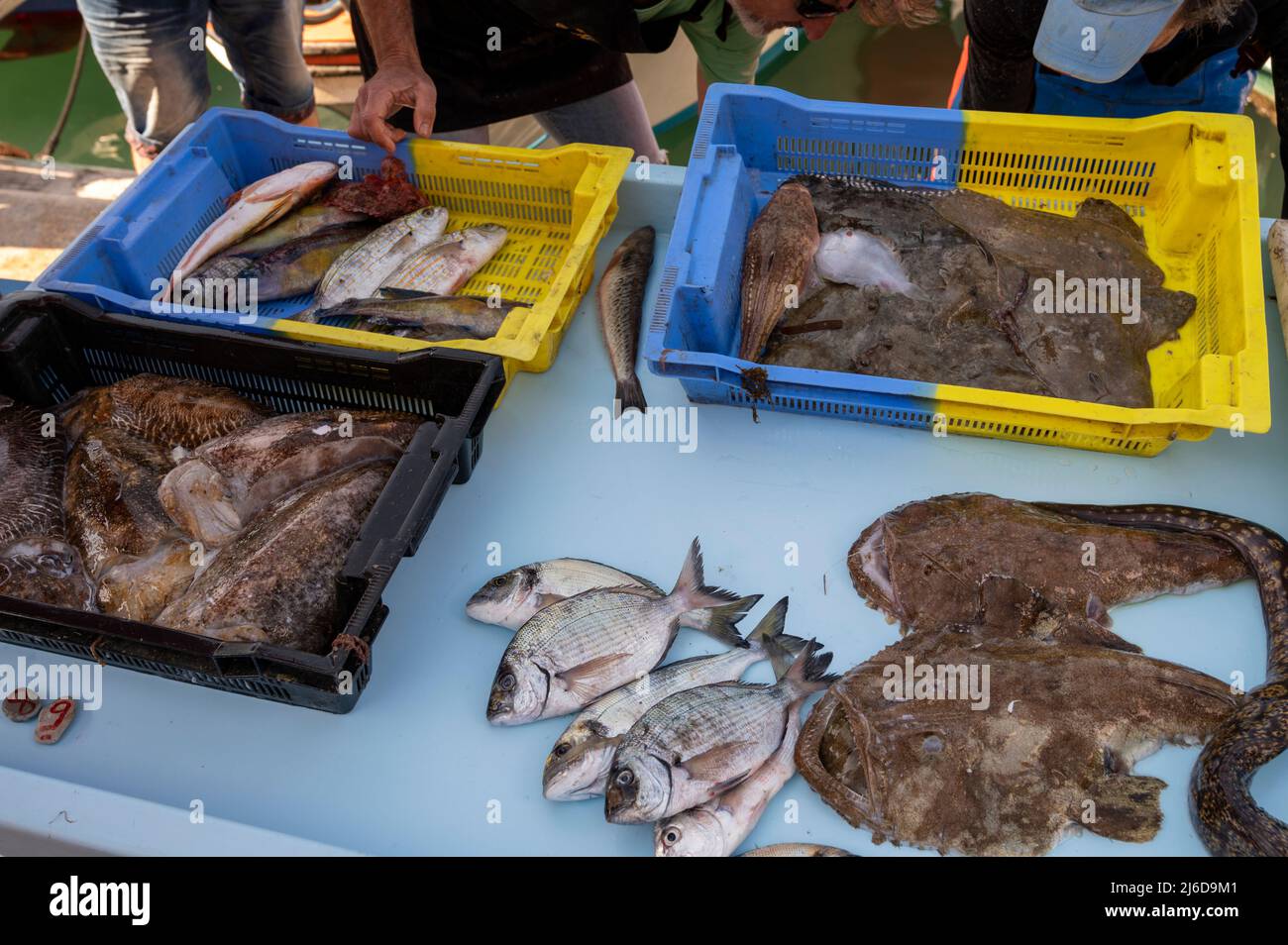 Catch of the day , fresh fish for sale on daily outdoor fisherman's ...