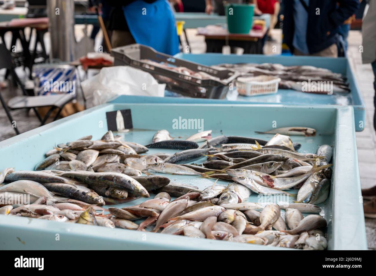 Catch of the day for sale on daily fish market in old port of Marseille ...