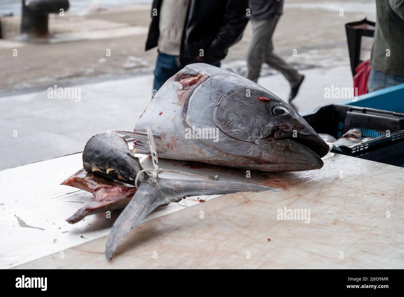 Catch of the day for sale on daily fish market in old port of Marseille ...