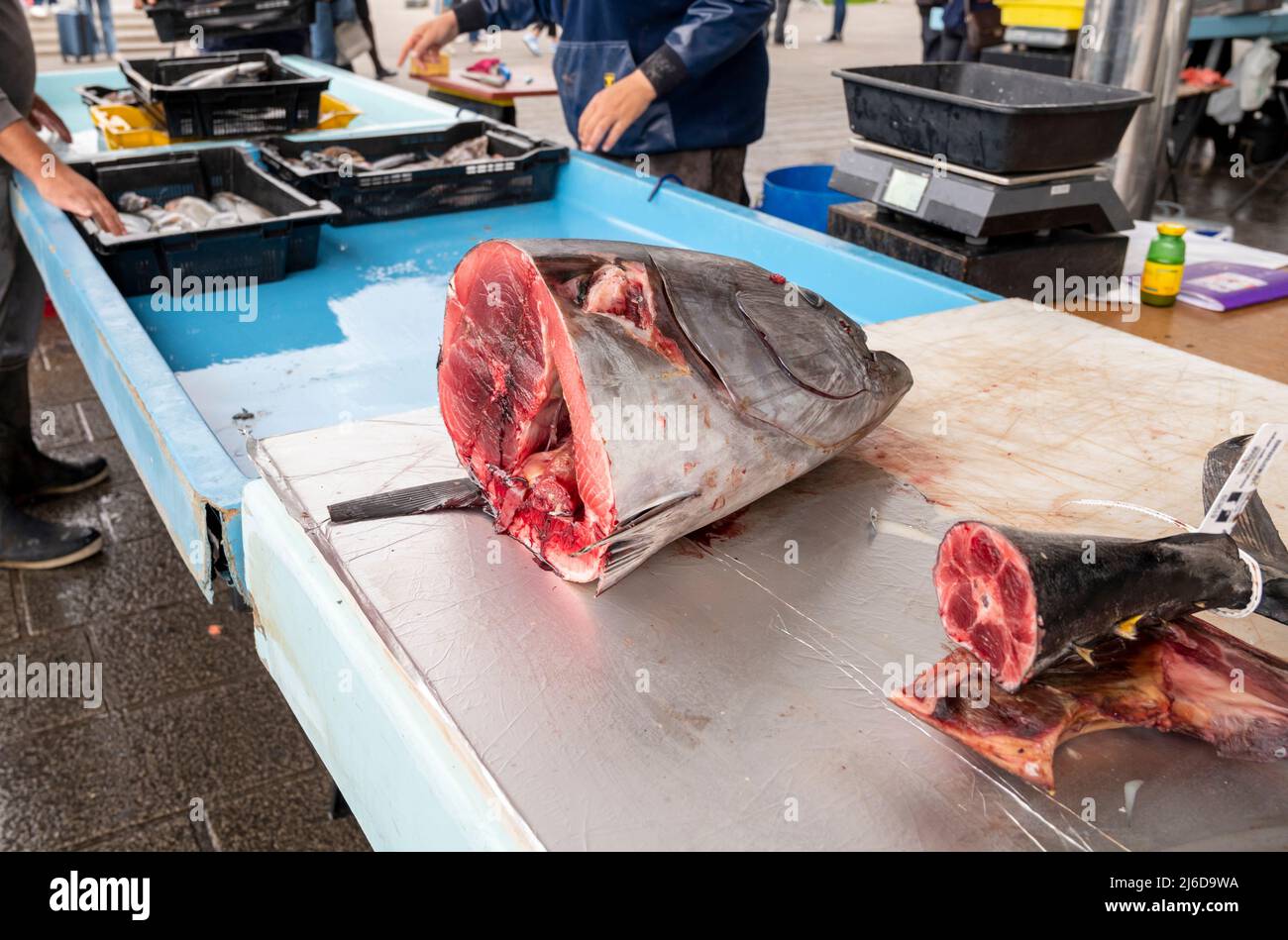 Catch of the day for sale on daily fish market in old port of Marseille ...