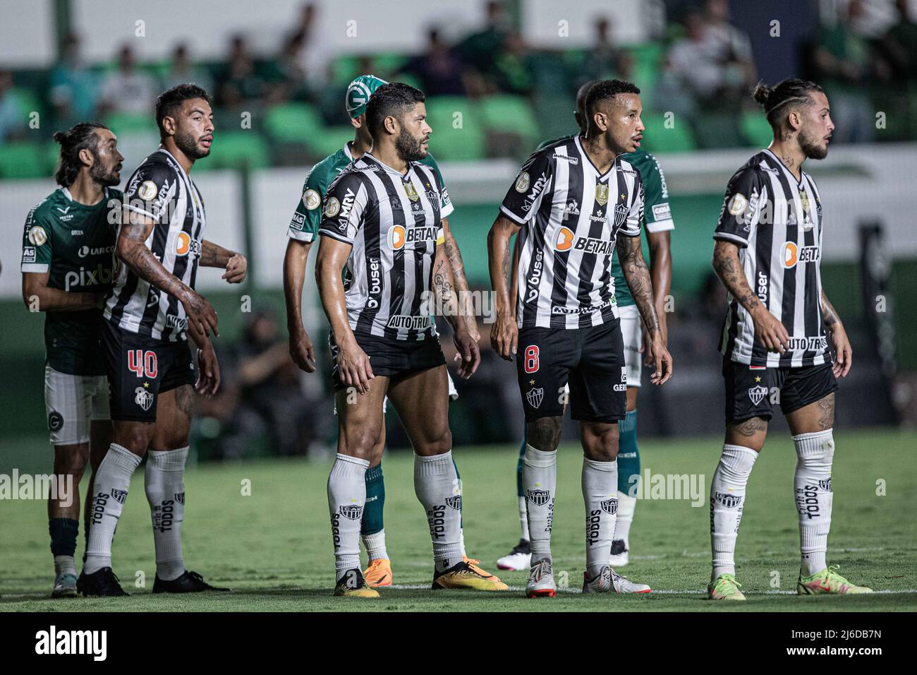 Brazilian hulk hi-res stock photography and images - Alamy