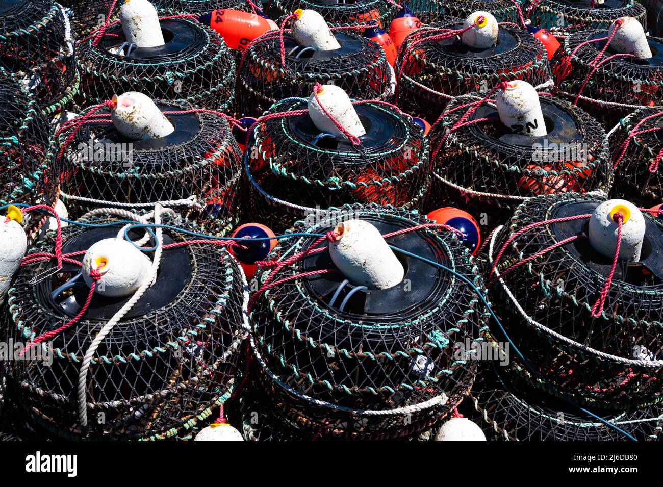 Crayfish fishing hi-res stock photography and images - Alamy
