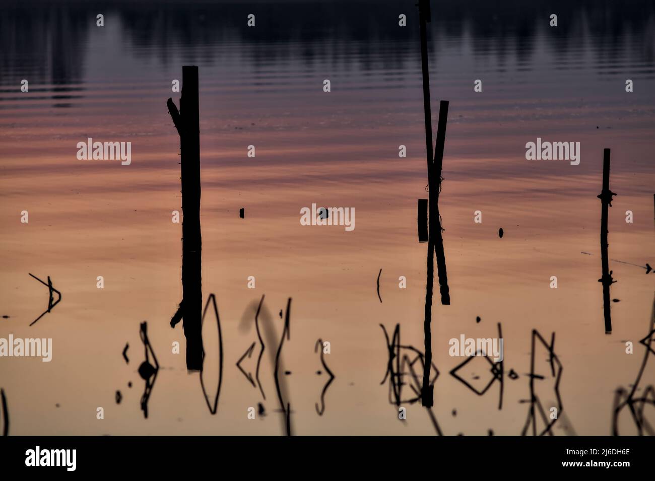 Mooring poles next to the shore of a lake at sunset Stock Photo - Alamy