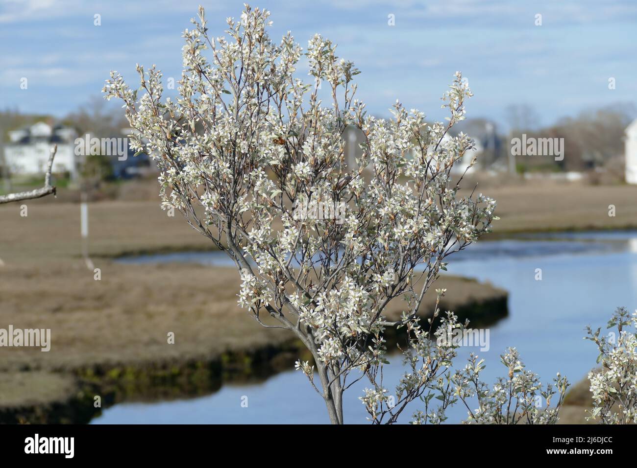Spring ct hi-res stock photography and images - Alamy