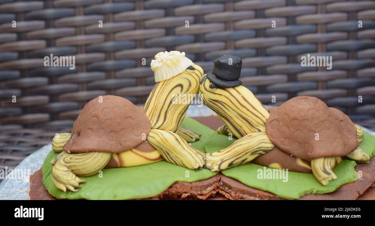 Kissing turtles hi-res stock photography and images - Alamy