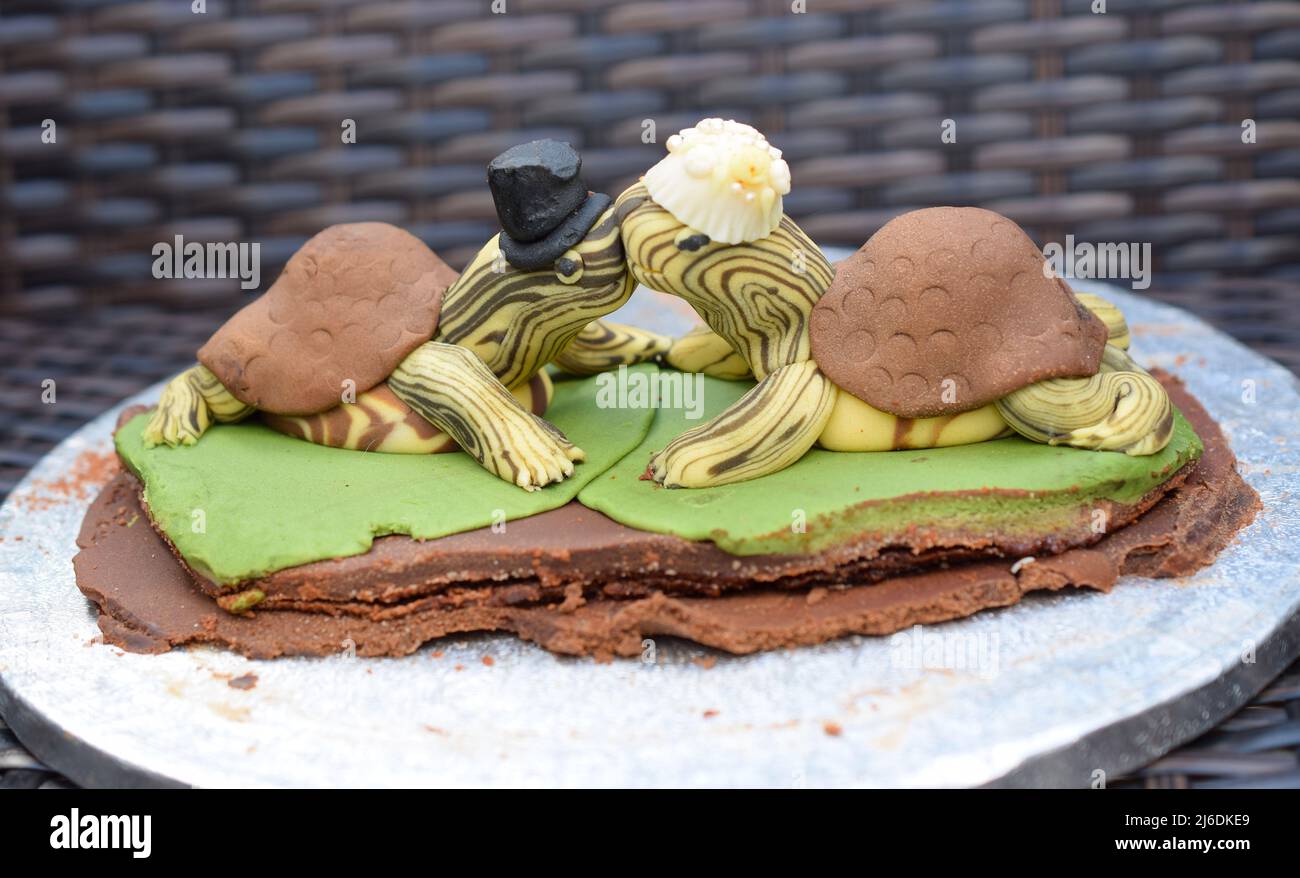 Kissing turtles hi-res stock photography and images - Alamy