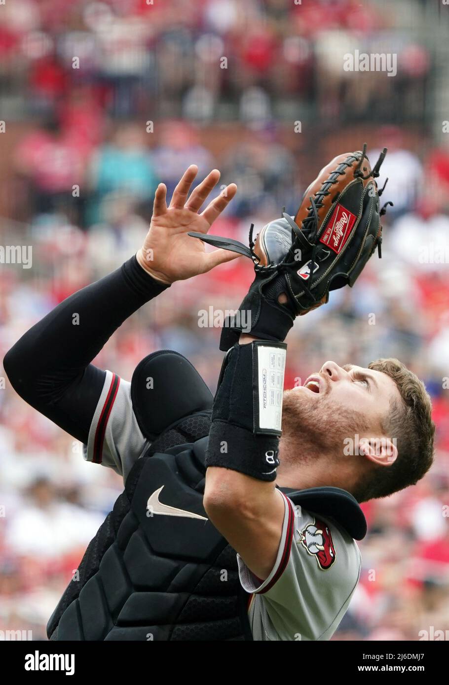 Arizona Diamondbacks catcher Carson Kelly makes a catch on a foul ball ...