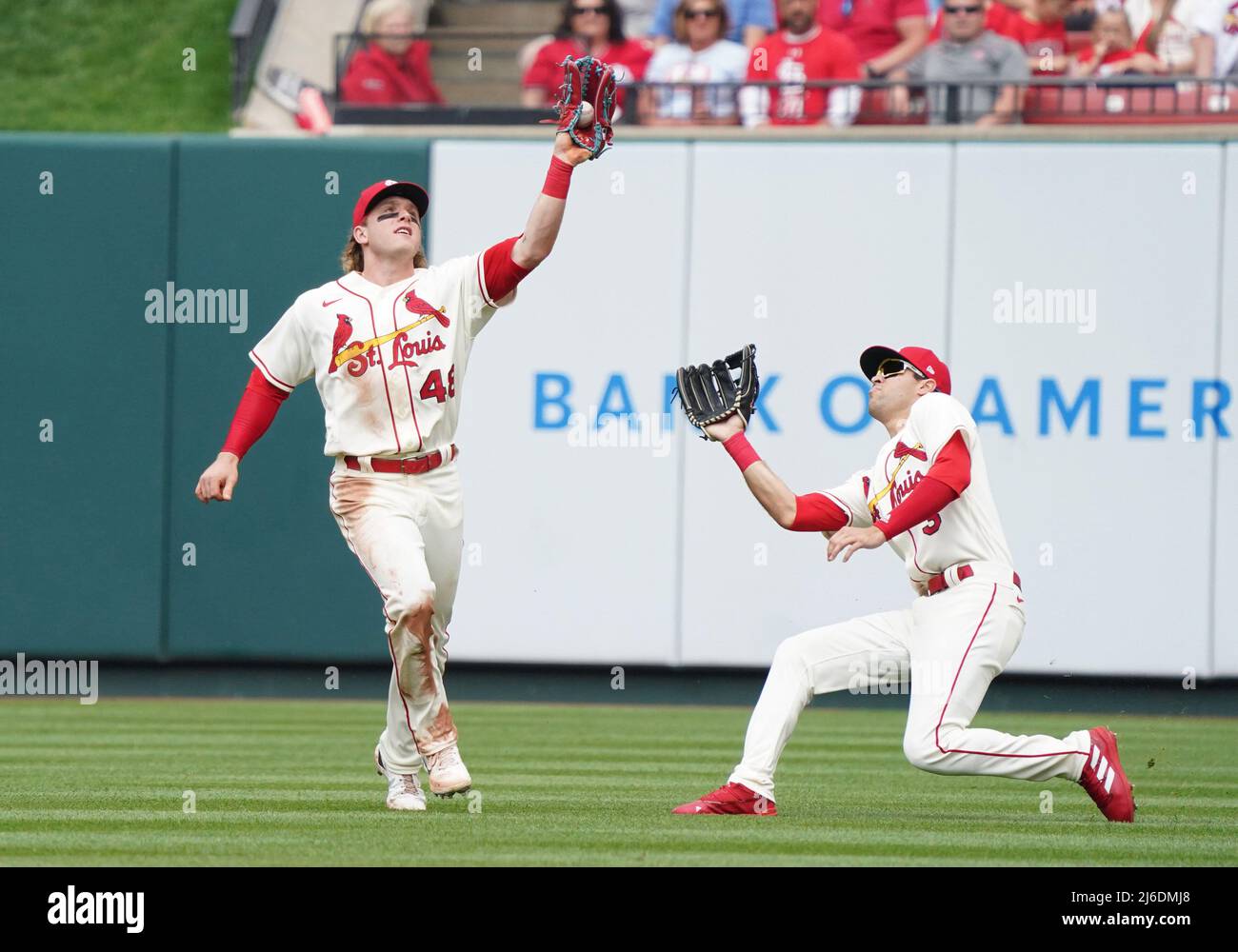 St. Louis Cardinals Harrison Bader makes a catch on a fly ball in front ...