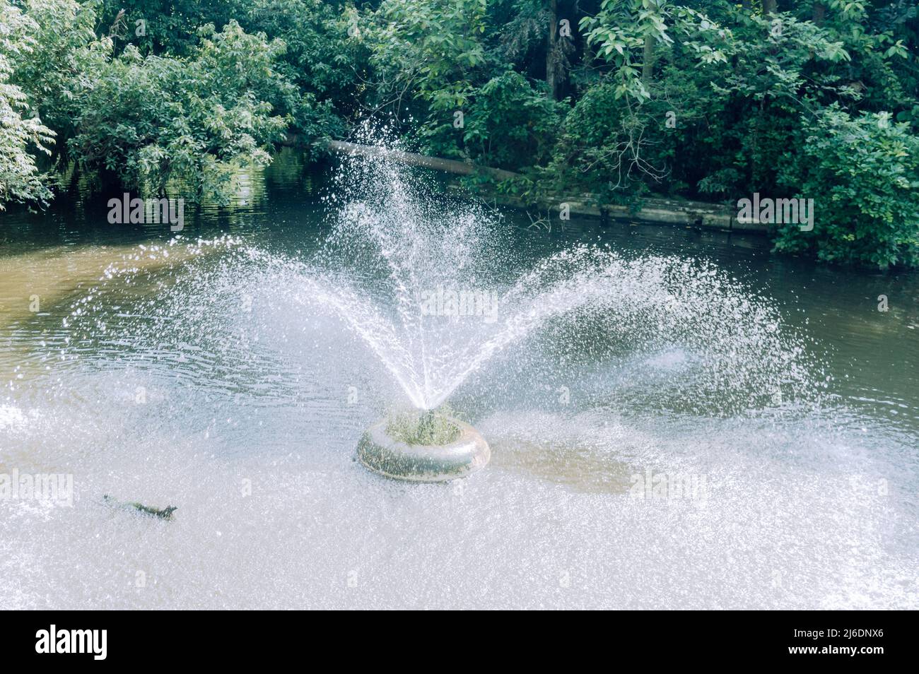 Woodland garden pond fountain hi-res stock photography and images - Alamy