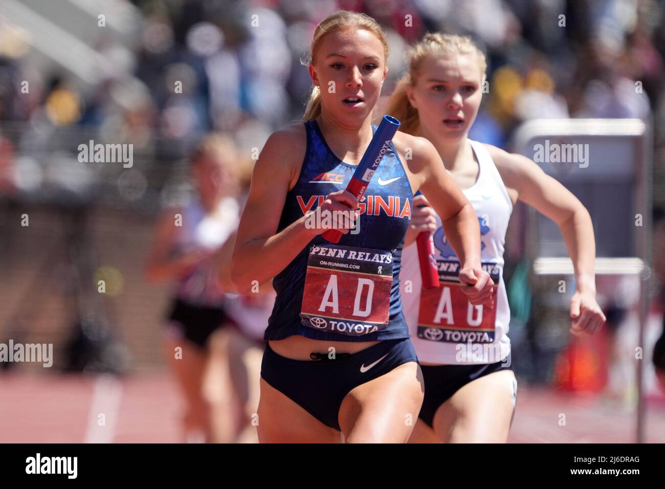 Virginia cavaliers 2022 hi-res stock photography and images - Alamy