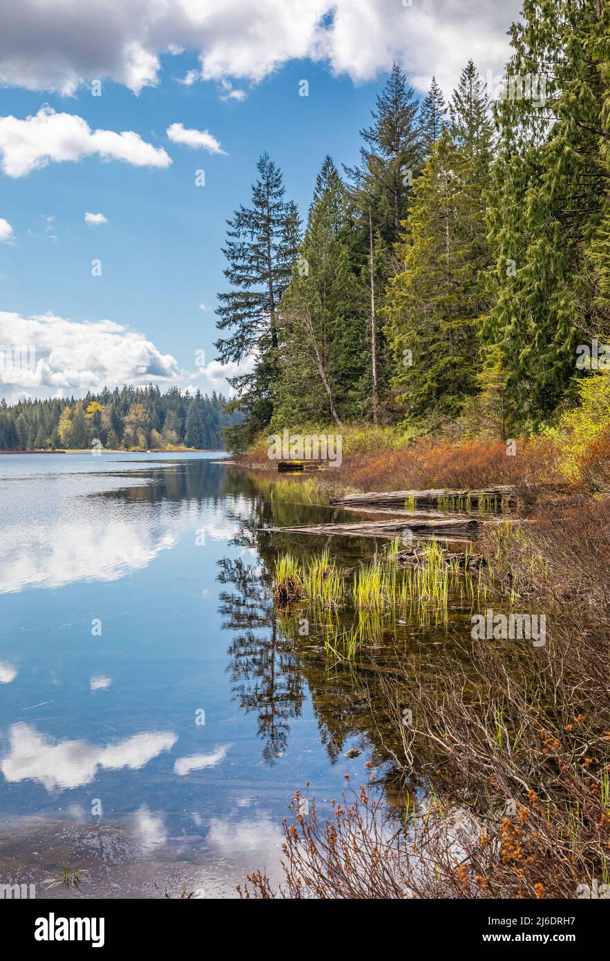 Beautiful landscape of a lake in a forest. Rolley Lake Provincial Park ...