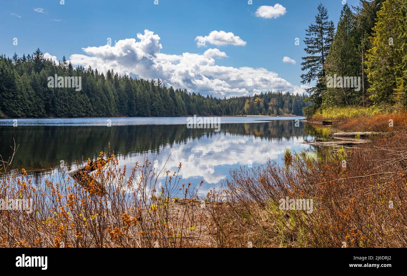 Beautiful landscape of a lake in a forest. Rolley Lake Provincial Park ...