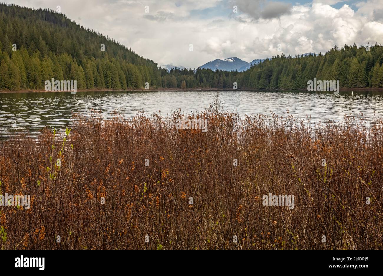 Beautiful landscape of a lake in a forest. Rolley Lake Provincial Park ...