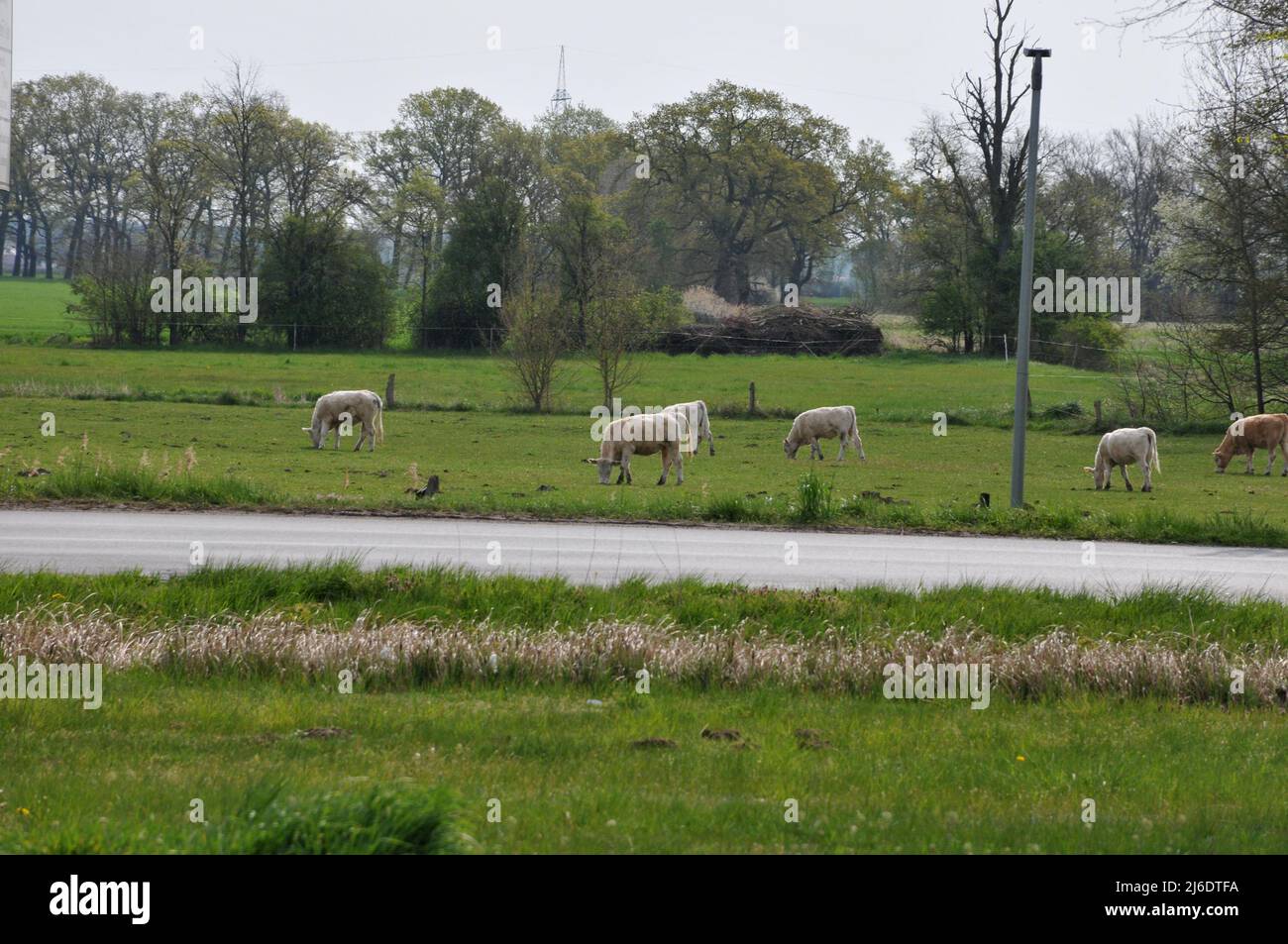 German country/Germany/30 April 2022/.Green eneregy in Germany electric ...
