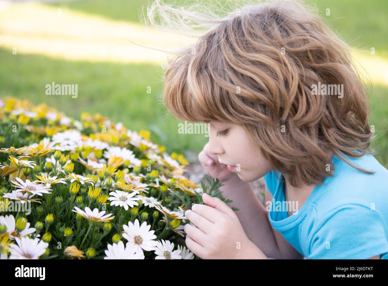Spring child face. Close up portrait of a small blond child boy with ...