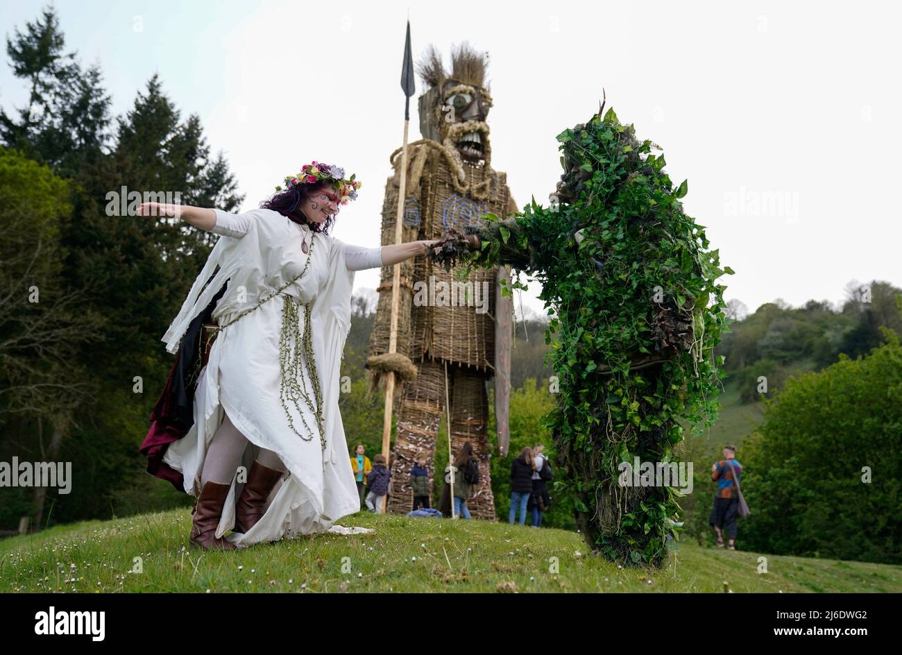The Butser May Queen and Green Man dance in front of a giant wicker man ...
