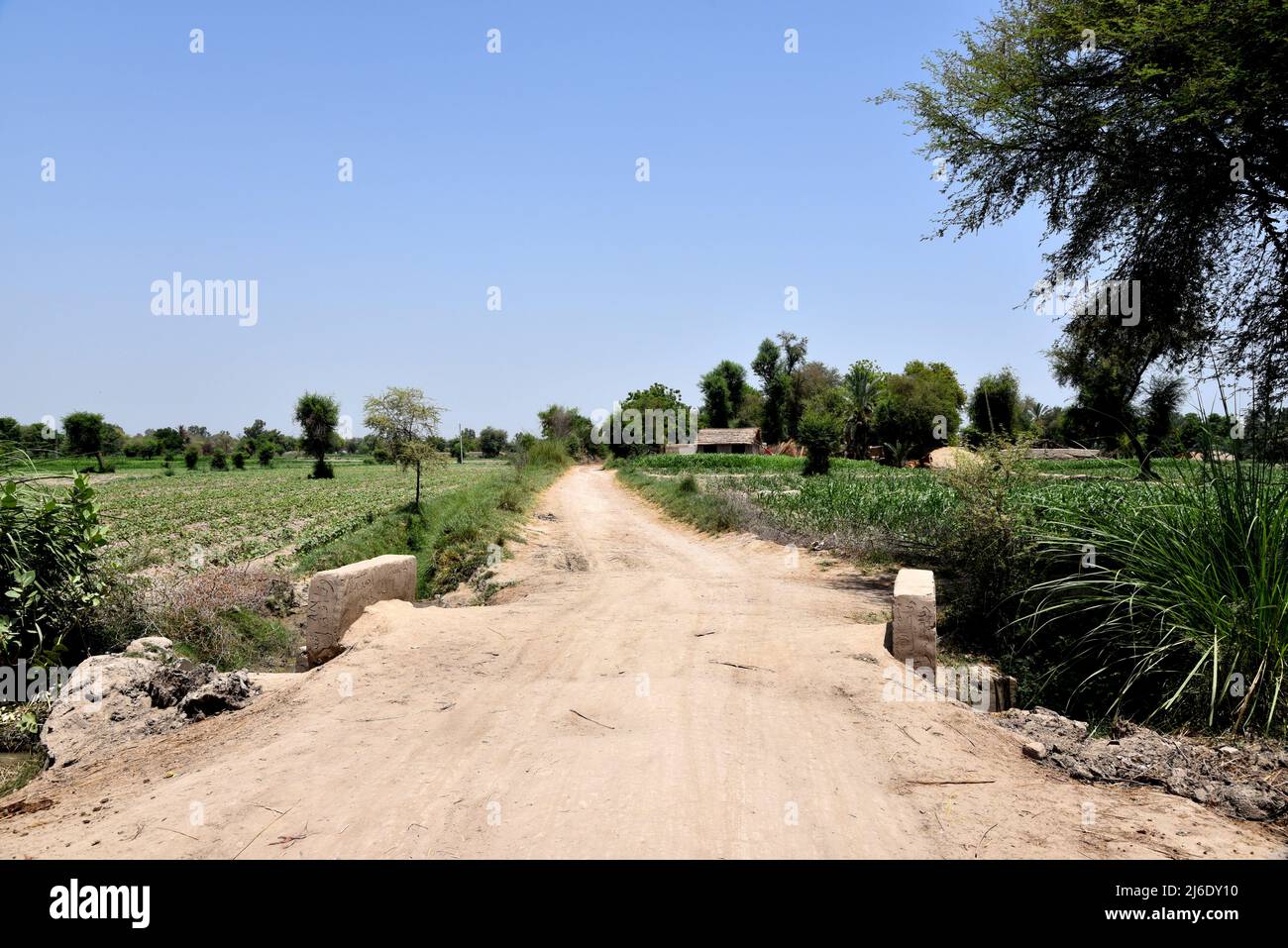 Dirt road in rural Sindh; fields on both sides Stock Photo - Alamy