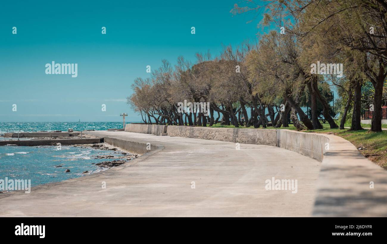 Concrete beach in early summer sun with trees on the beach and small ...