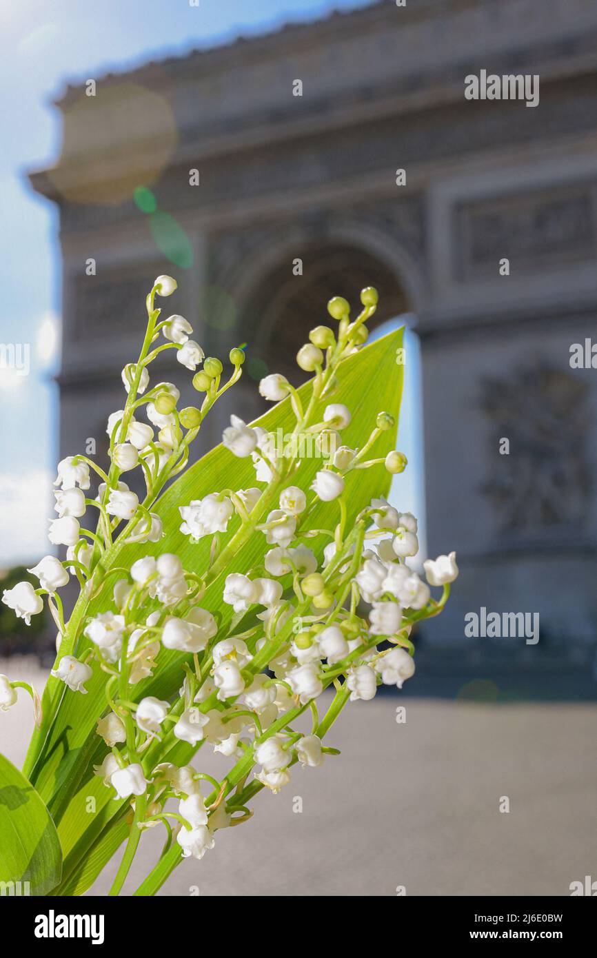 A Lily Of The Valley is the symbol of tradition in France to be offered ...