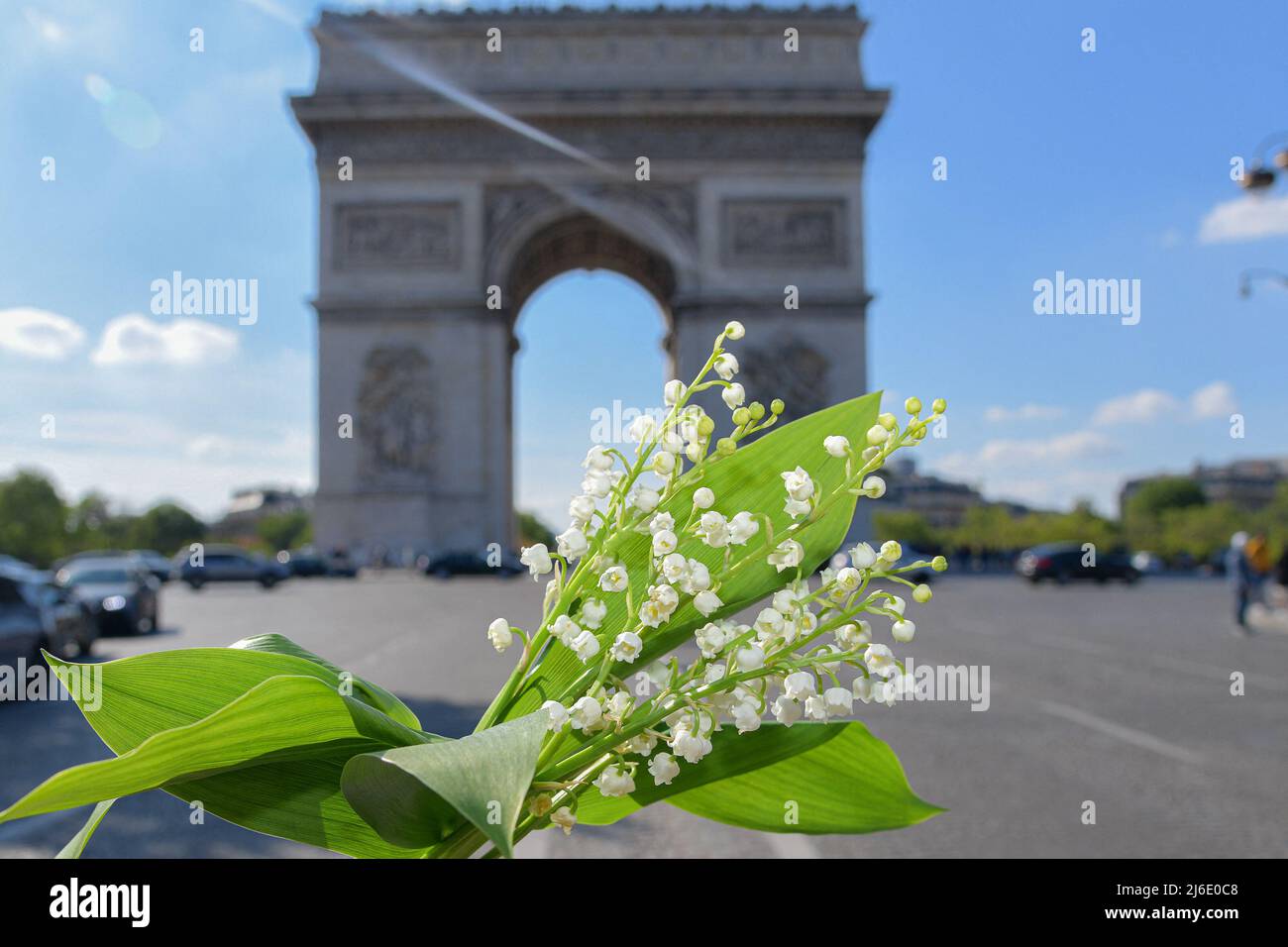 A Lily Of The Valley is the symbol of tradition in France to be offered ...