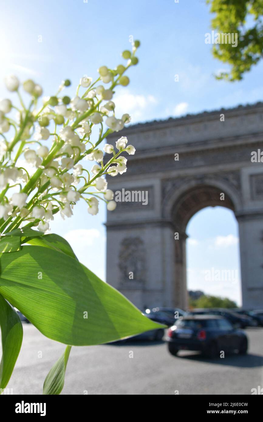 A Lily Of The Valley is the symbol of tradition in France to be offered ...