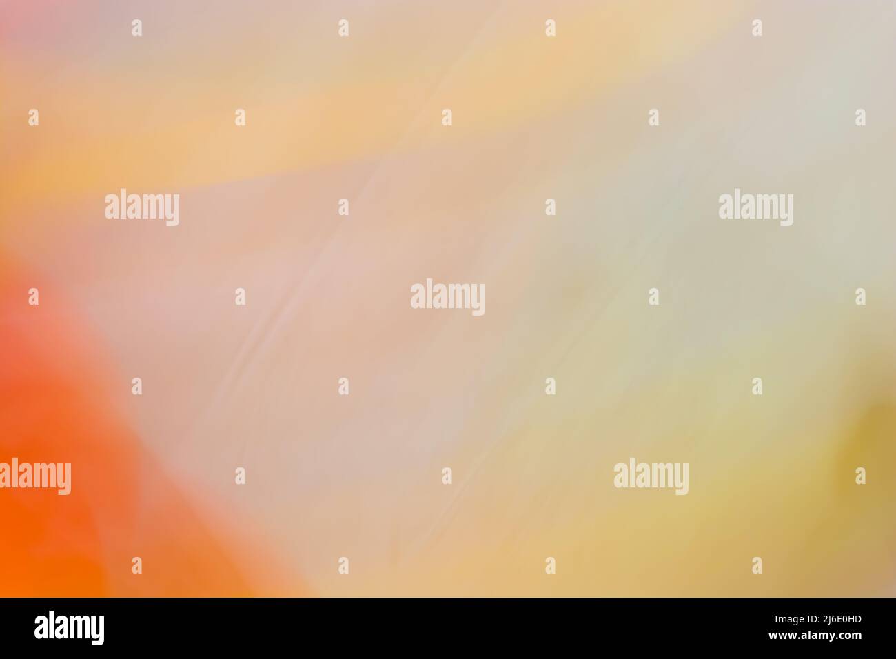 Beige orange orange background with gradient. Warm summer banner ...