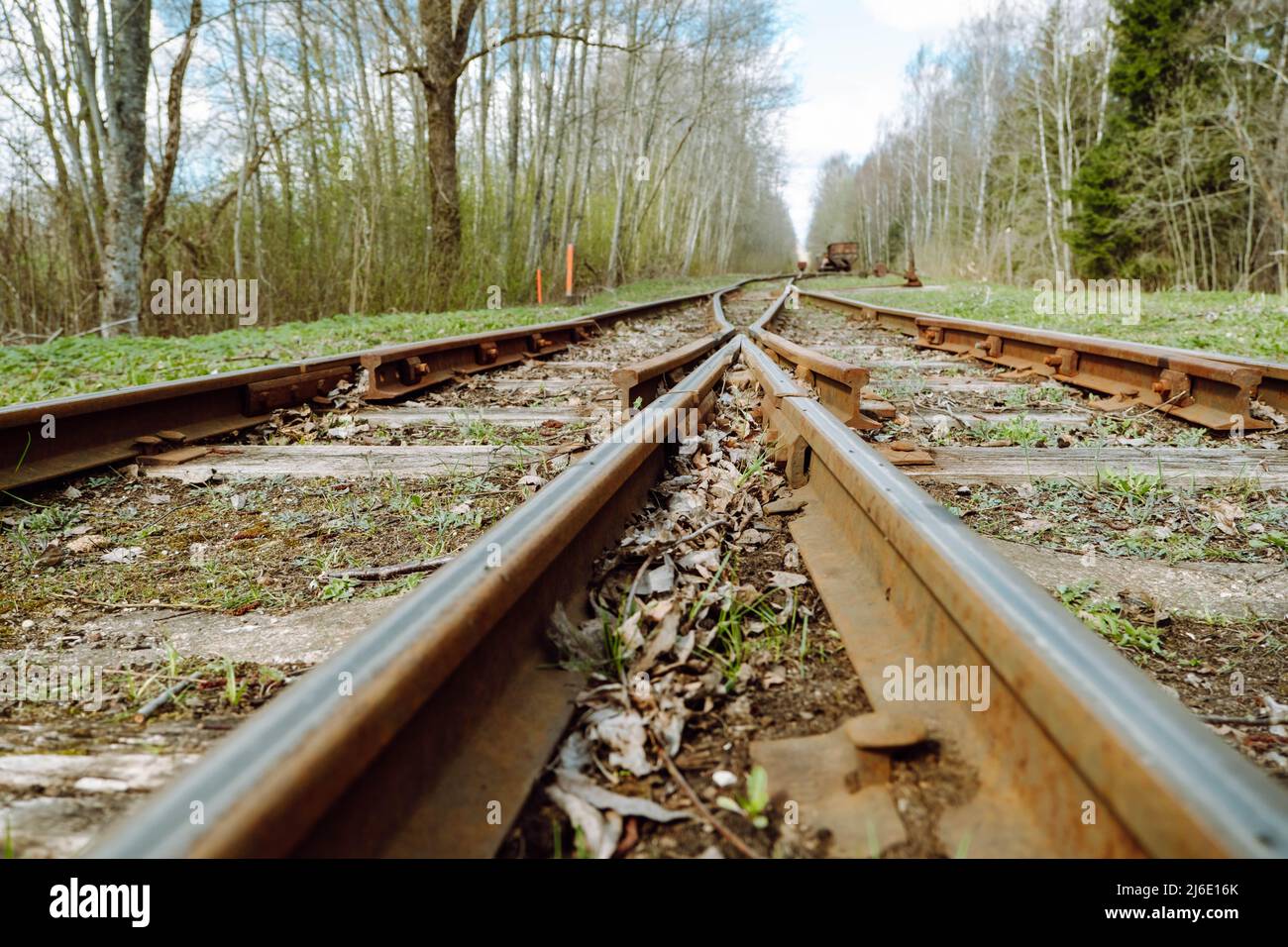 Triple point on narrow gauge railway, Latvia Stock Photo - Alamy