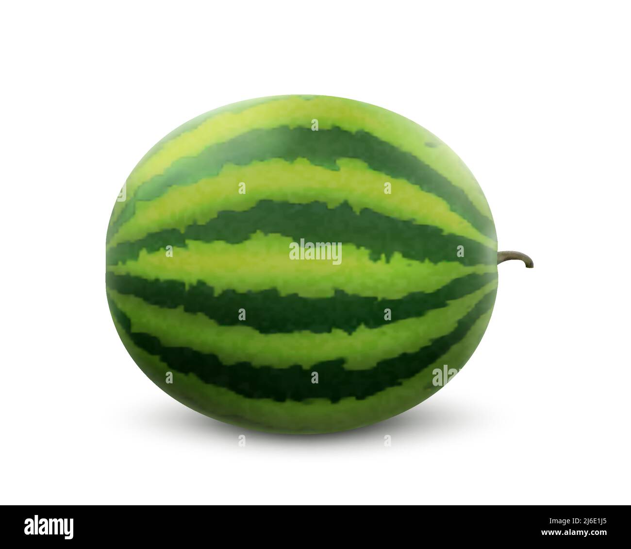Whole Watermelon Fruit