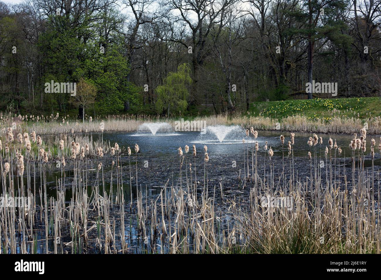 Large forestry estate hi-res stock photography and images - Alamy