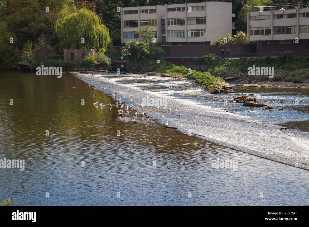 Tudor river wall hi-res stock photography and images - Alamy